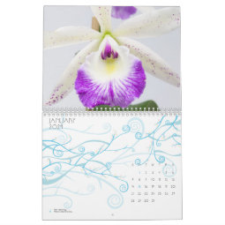 Orchid Calendar | Zazzle