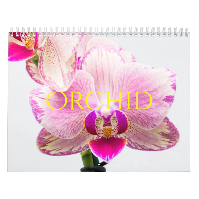 Orchid Calendar | Zazzle