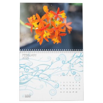 Orchid Calendar | Zazzle