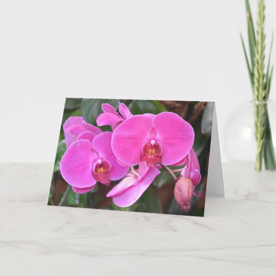 Orchid, card | Zazzle.com