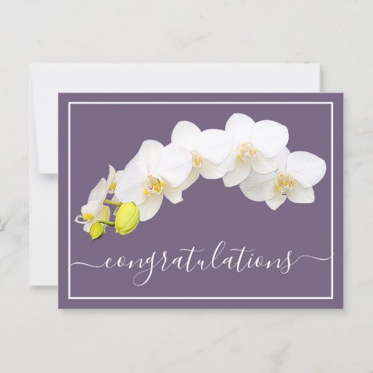 Orchid Flower Purple Background Congratulations Postcard | Zazzle.com