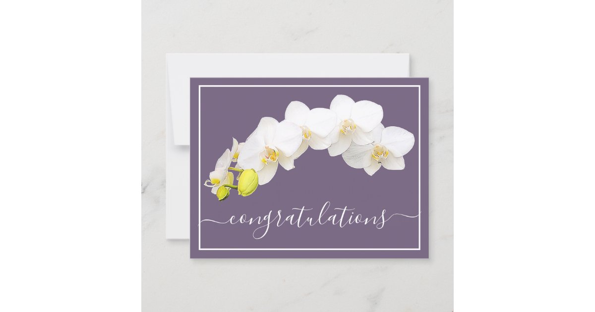 Orchid Flower Purple Background Congratulations Postcard | Zazzle