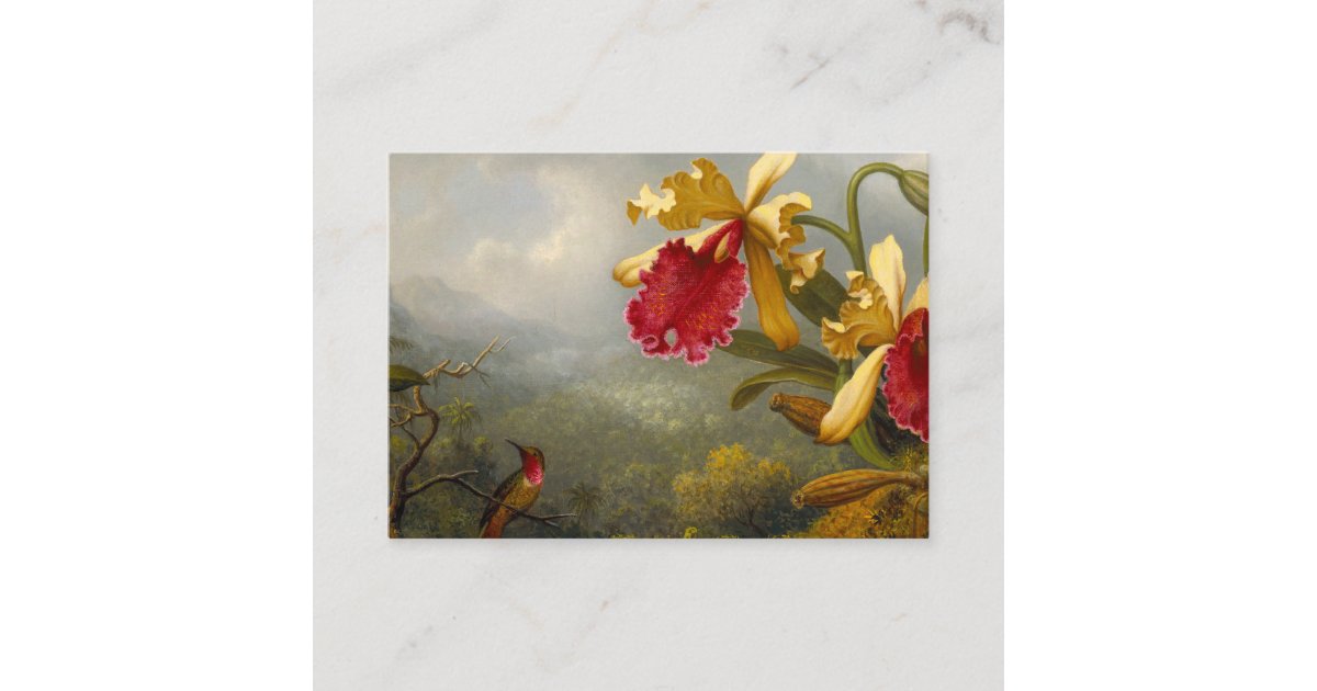 Orchids and Hummingbird Heade Enclosure Card | Zazzle