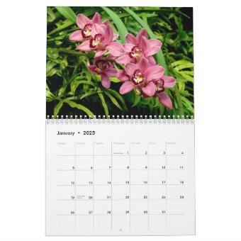 Orchids Calendar | Zazzle