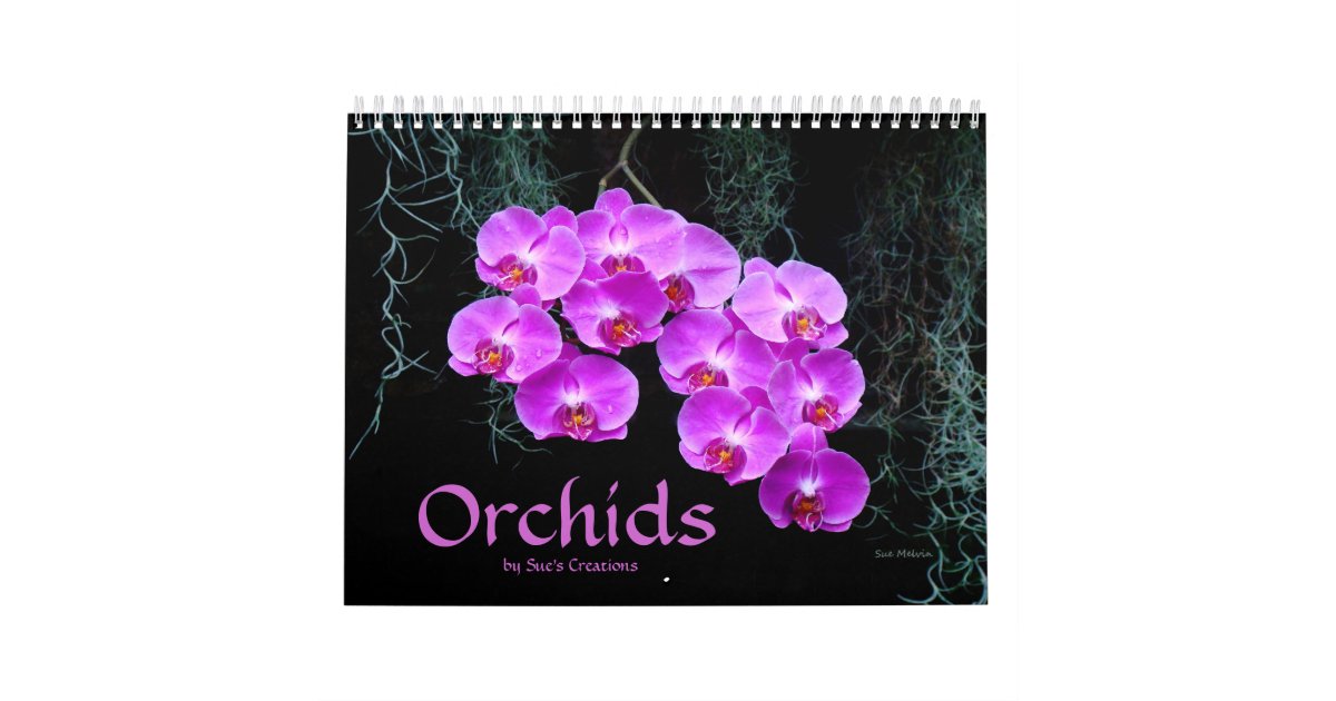 Orchids Calendar | Zazzle