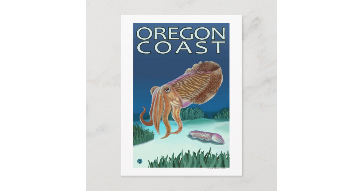 Oregon Coast Cuttlefish Postcard | Zazzle