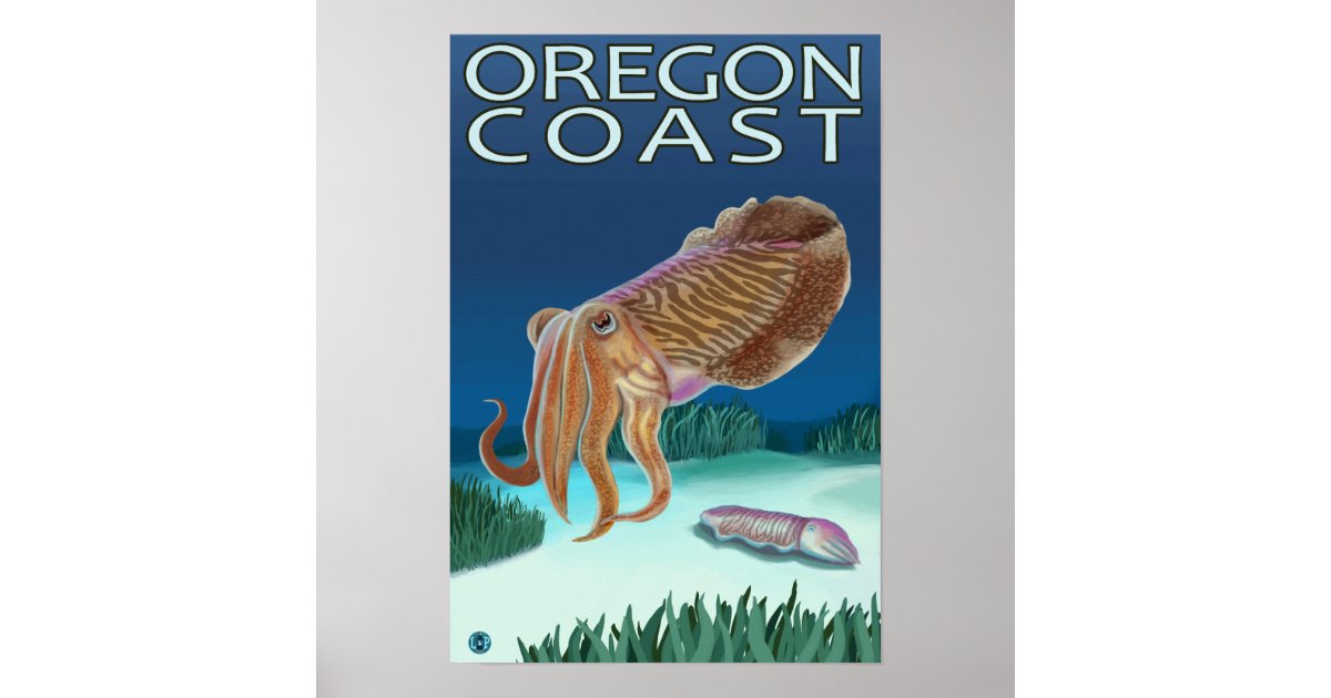 Oregon Coast Cuttlefish Poster | Zazzle