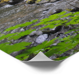 Oregon forest poster | Zazzle