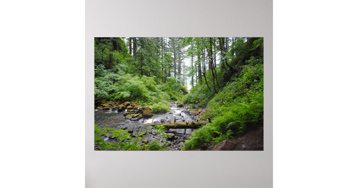 Oregon forest poster | Zazzle