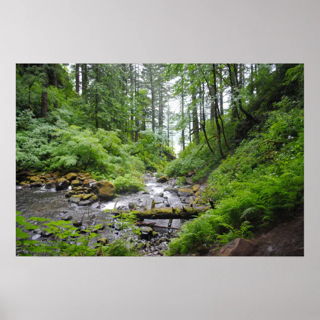 Oregon forest poster | Zazzle