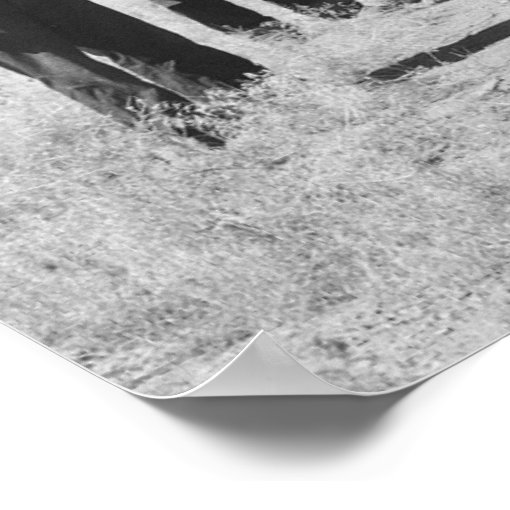 Oregon or Bust, 1936. Vintage Photo Poster | Zazzle