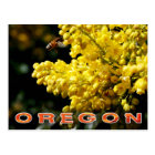 Oregon State Flower Bird Meadowlark Postcard | Zazzle.com