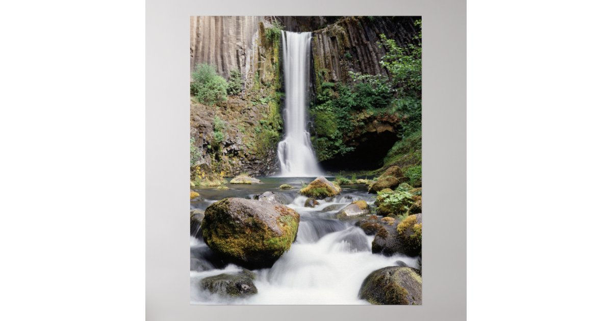 Oregon, Toketee Falls and basalt rock formations Poster | Zazzle