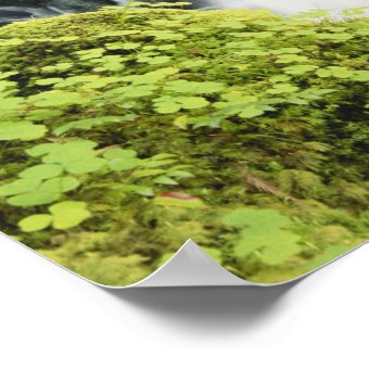 Oregon, Waterfall in Willamette national Poster | Zazzle