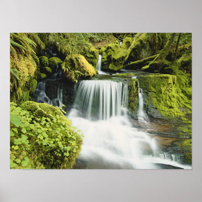 Oregon, Waterfall in Willamette national Poster | Zazzle