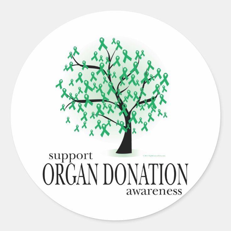 Organ Donation Tree Classic Round Sticker | Zazzle