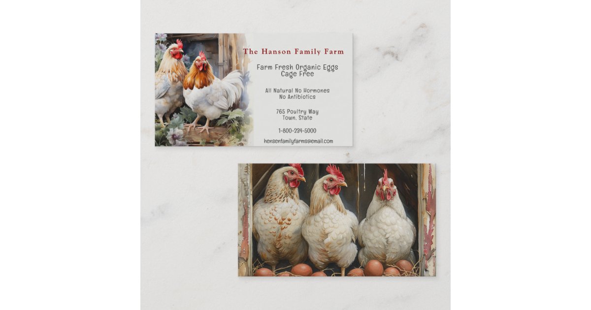 Organic Eggs Farm Chickens Business Card | Zazzle