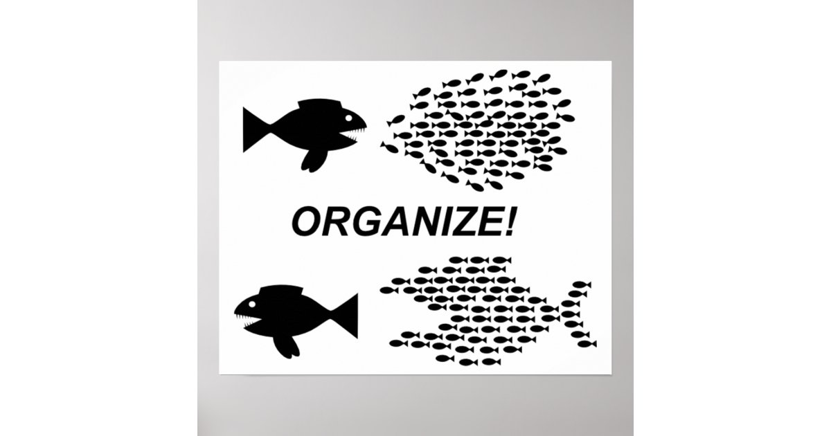 Organize poster | Zazzle