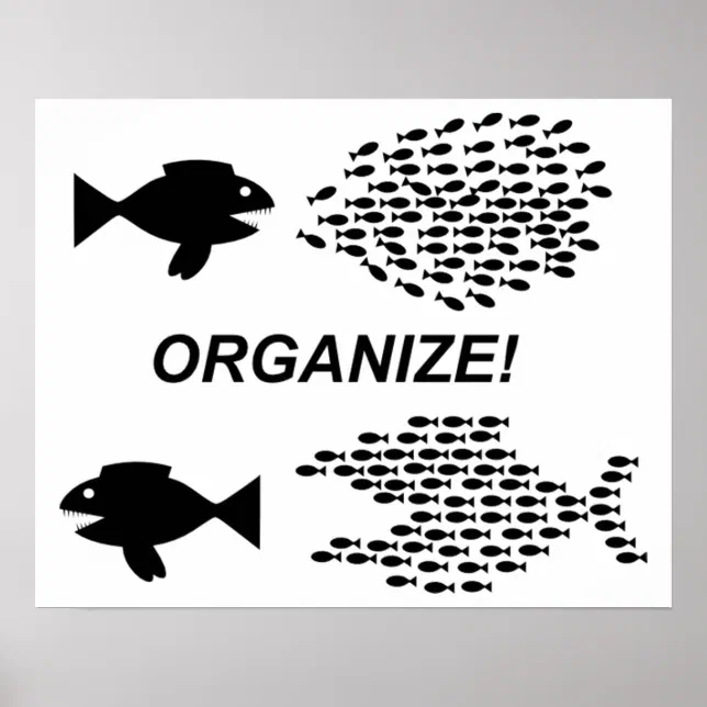 Organize poster | Zazzle