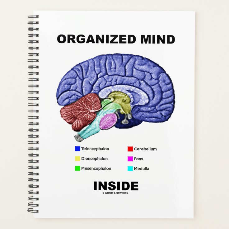 Organized Mind Inside Anatomical Brain Humor Planner | Zazzle