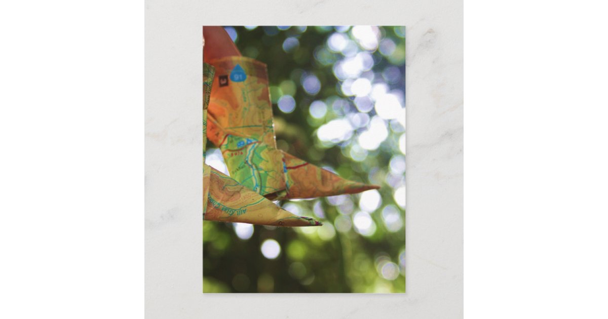 Origami Postcard | Zazzle