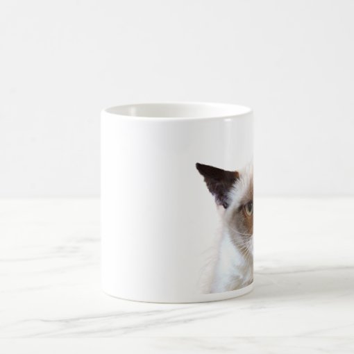Original Grumpy Cat Mug | Zazzle