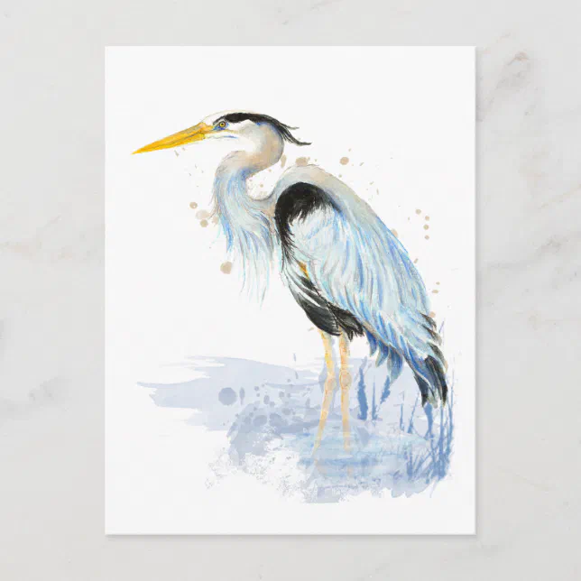 Original watercolor Great Blue Heron Bird Postcard | Zazzle