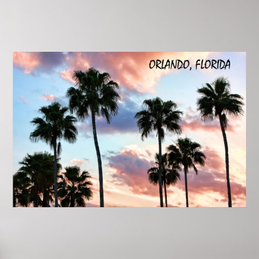 Orlando, Florida Pink Clouds & Palm Trees Poster | Zazzle