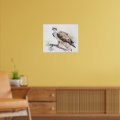 Osprey Bird Art Print Poster | Zazzle