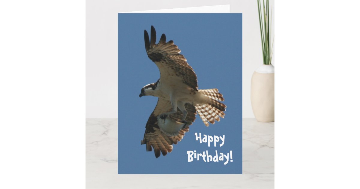 Osprey Bird & Fish Birthday Greeting Card | Zazzle