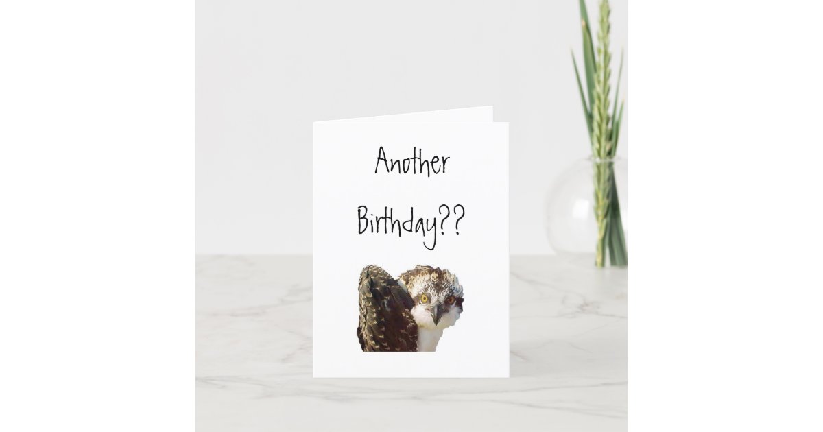 Osprey Birthday Card | Zazzle