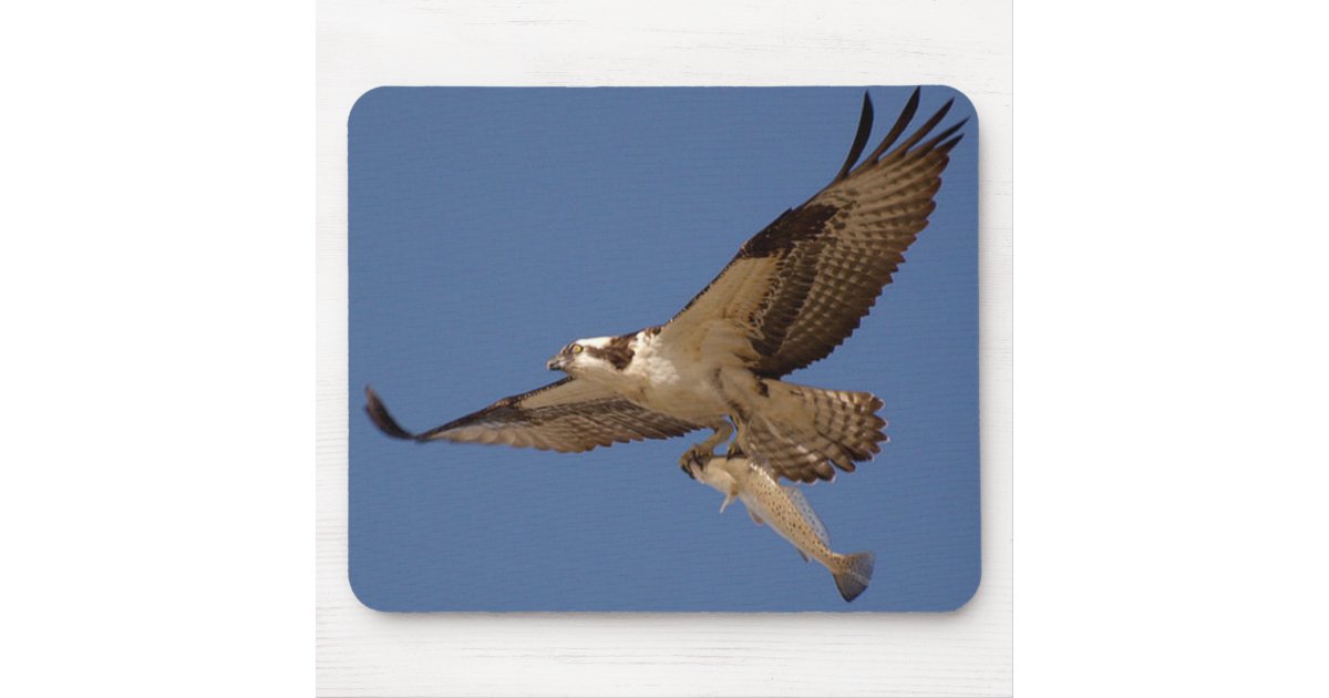Osprey Fisher Mouse Pad | Zazzle