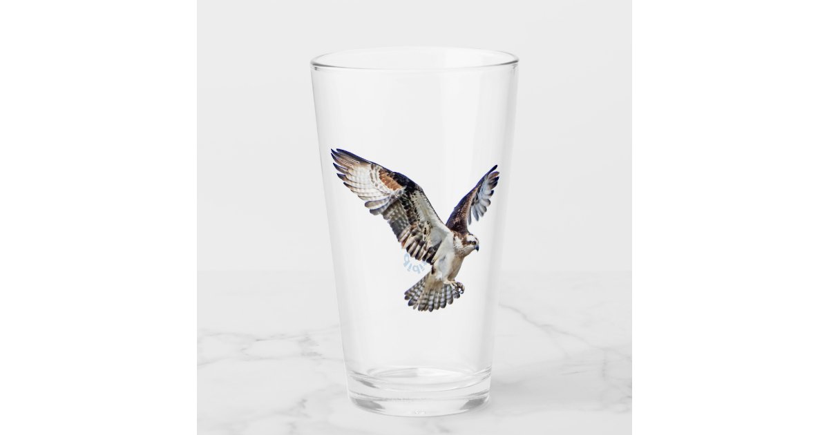 Osprey Glass Tumbler | Zazzle