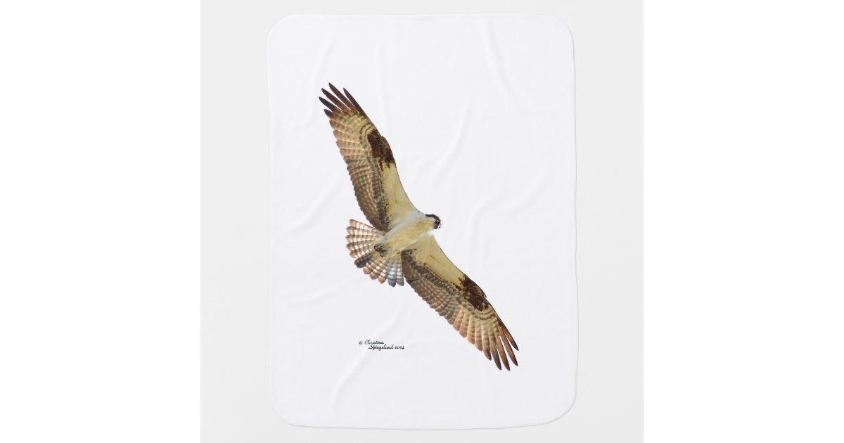 Osprey Hawk flying Baby Blanket | Zazzle