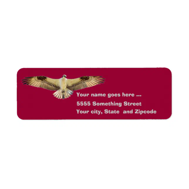 Osprey hawk flying Return Address Labels | Zazzle