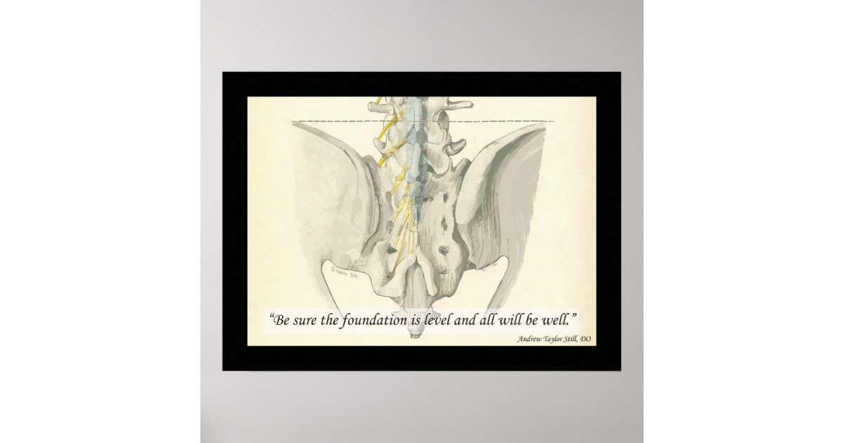 Osteopathic Foundation Quote by A.T. Still Poster | Zazzle