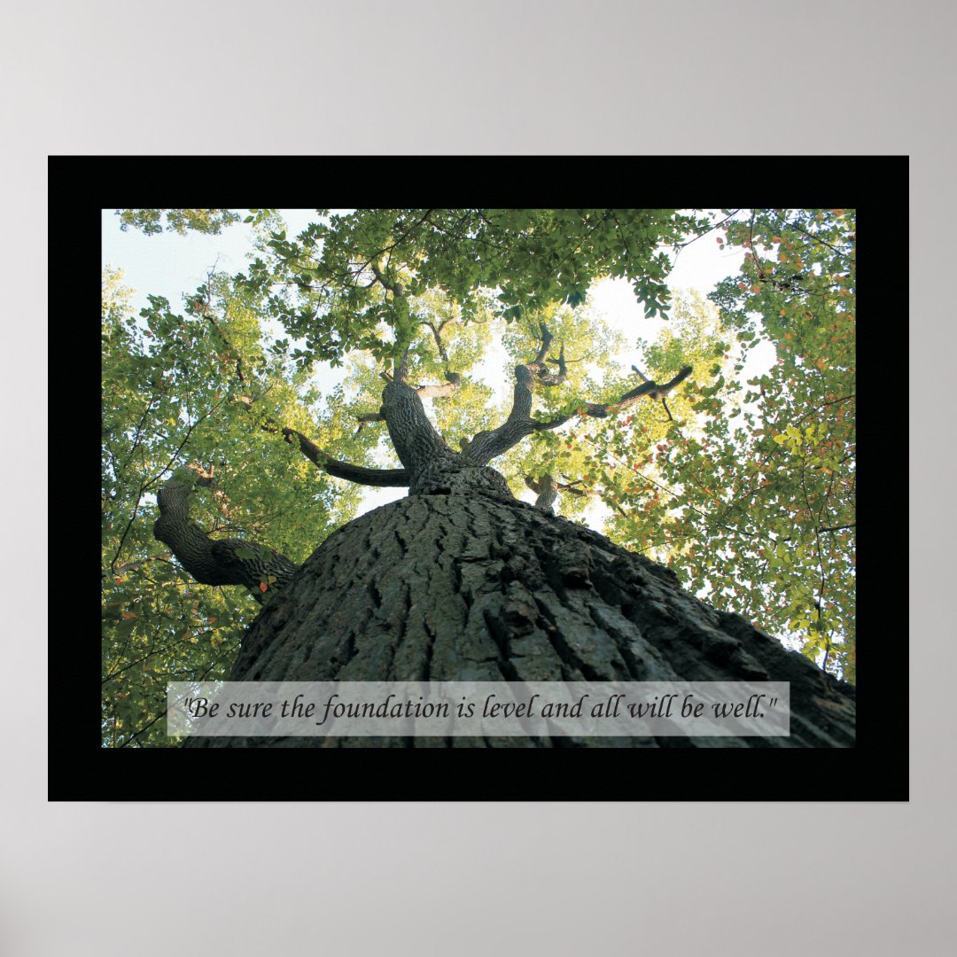 Osteopathic Quotes and Sayings Health Poster | Zazzle