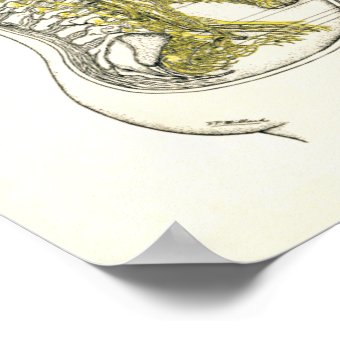 Osteopathic Sympathetic Chain Nerve Poster | Zazzle