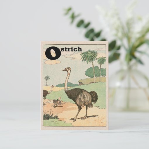 Ostrich Alphabet Letter Postcard | Zazzle