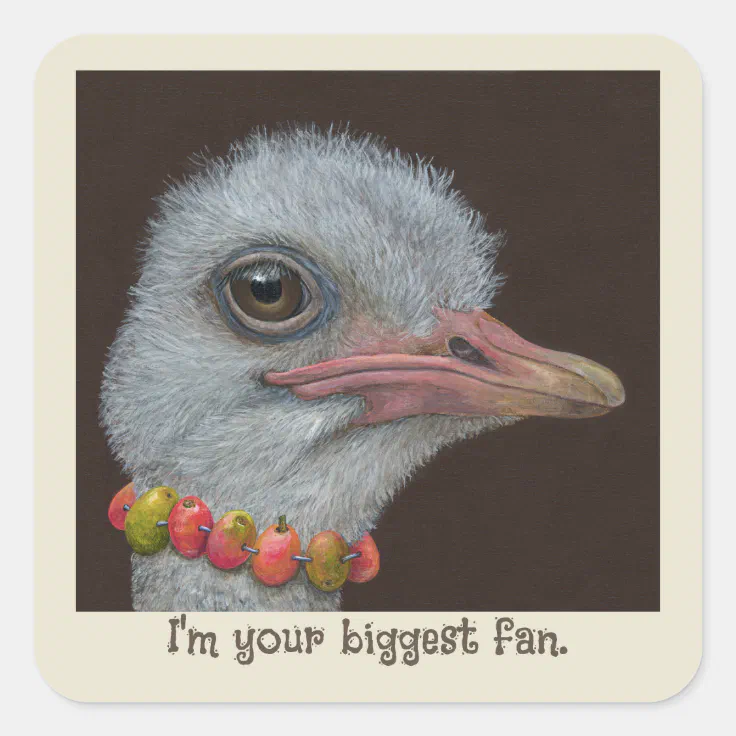 Ostrich fan stickers | Zazzle