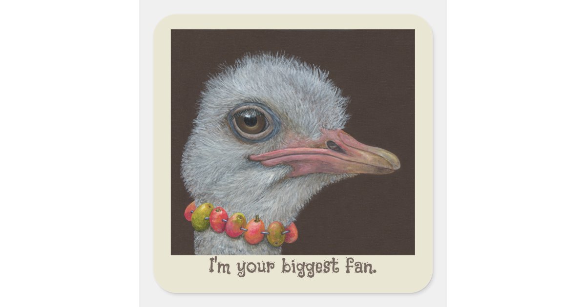 Ostrich fan stickers | Zazzle