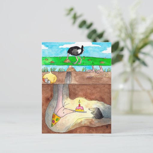 Ostrich Happy Birthday postcard by Nicole Janes | Zazzle