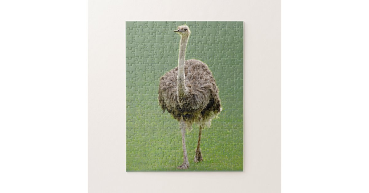 Ostrich Jigsaw Puzzle | Zazzle