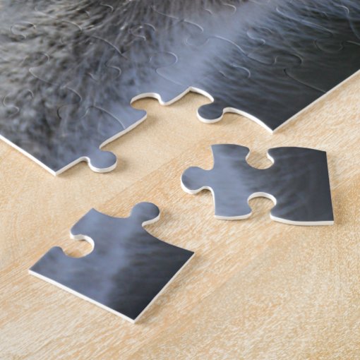 Ostrich Jigsaw Puzzle | Zazzle