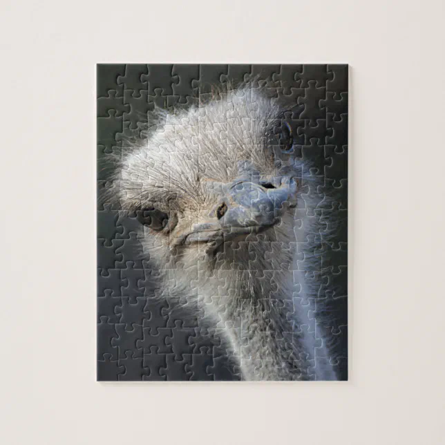 Ostrich Jigsaw Puzzle | Zazzle