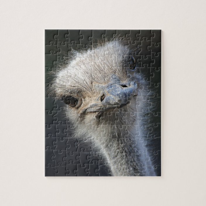 Ostrich Jigsaw Puzzle | Zazzle.com