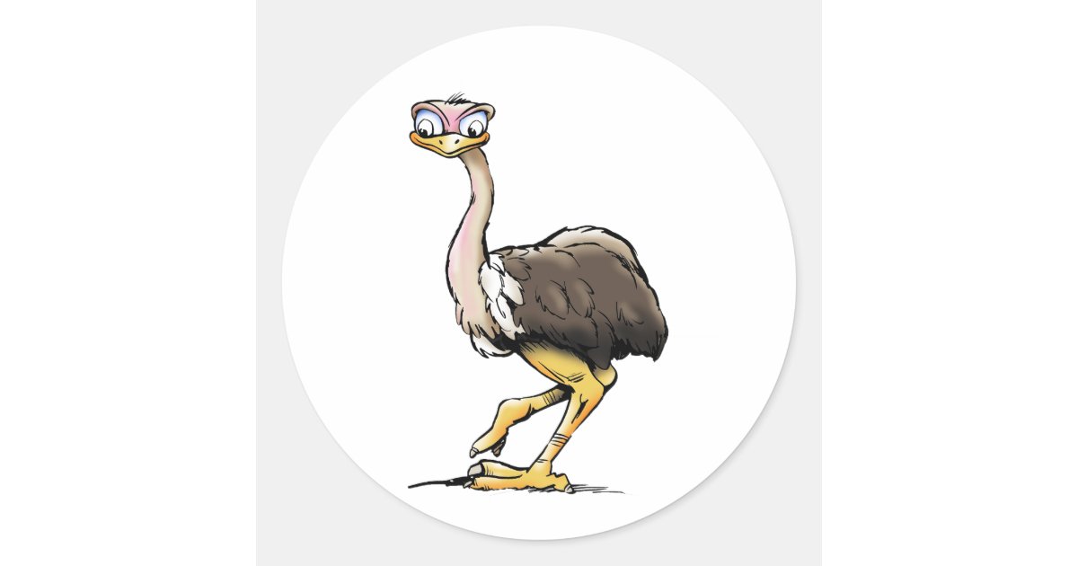 Ostrich Stickers | Zazzle