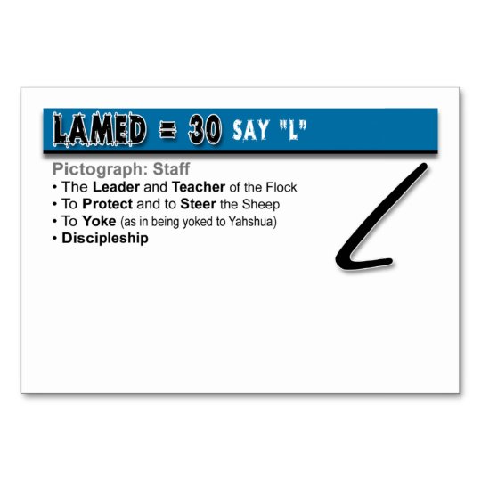 Otiot Flash Cards: 12 of 22 | Zazzle.com