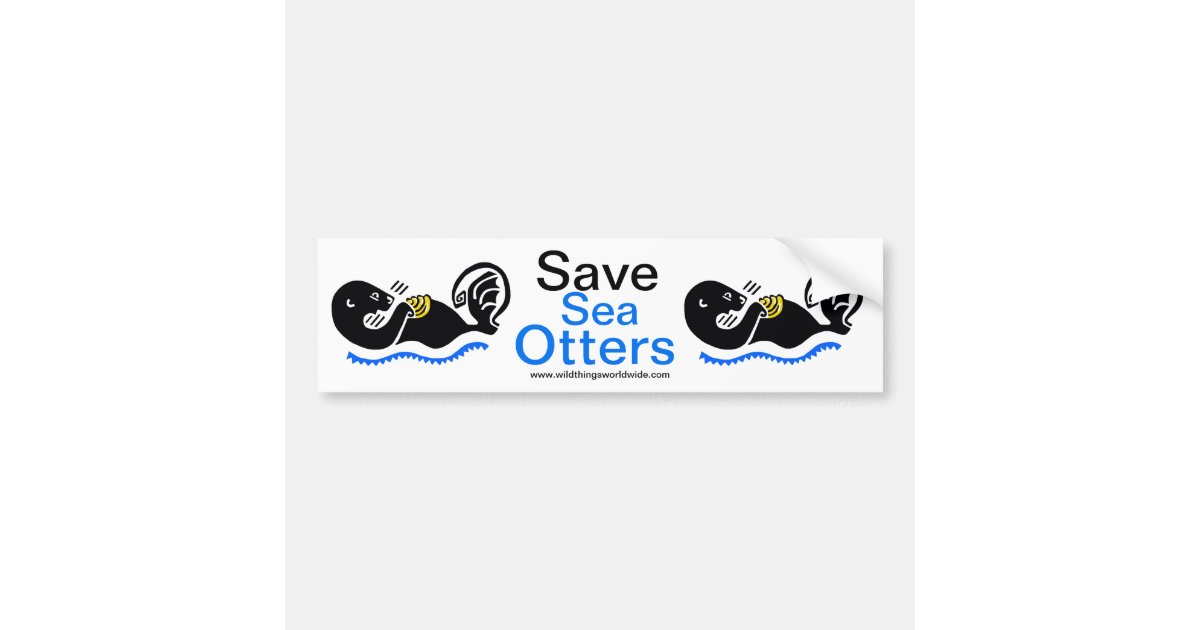 Otter - bumper sticker | Zazzle