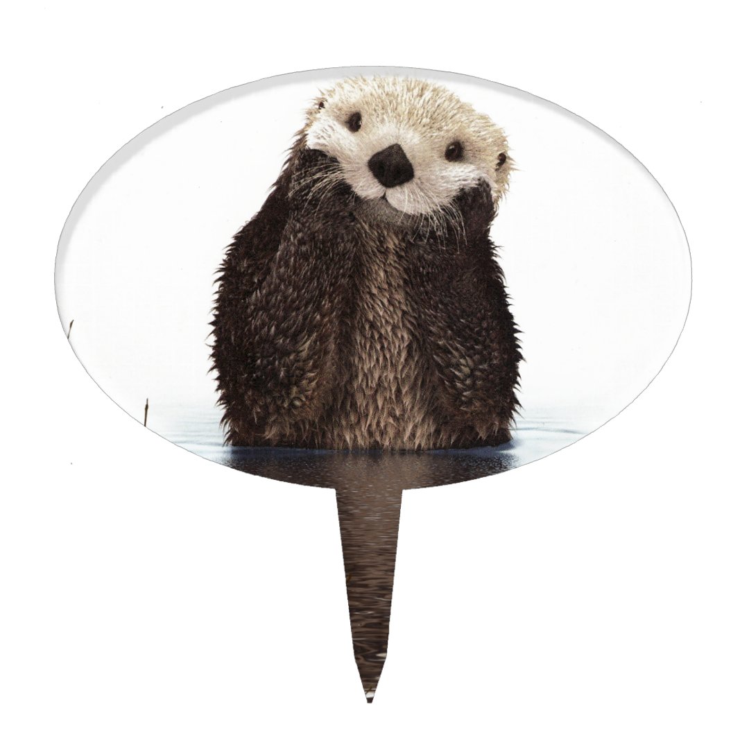 Otter Cake Topper | Zazzle